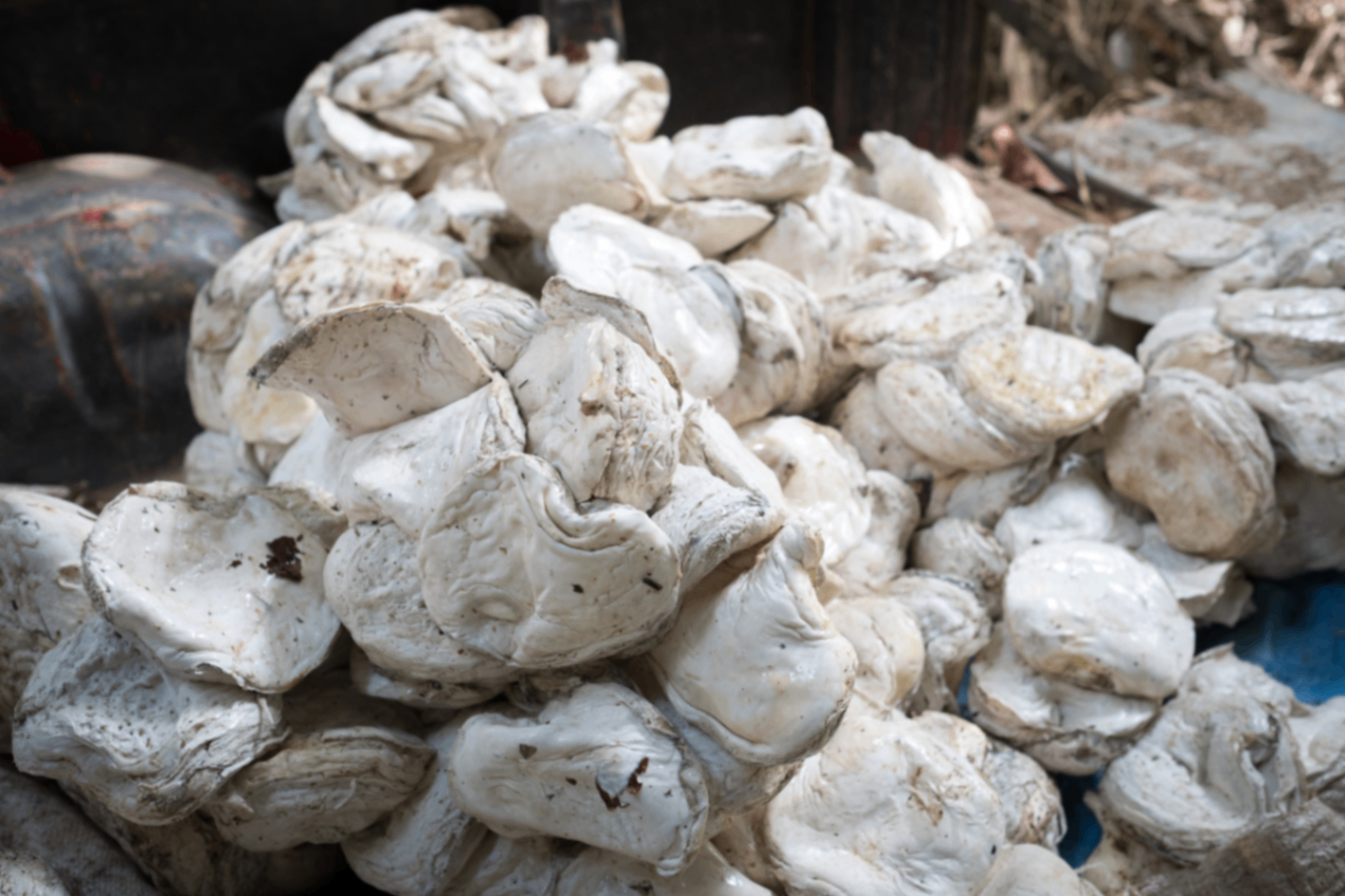 Improving Production Efficiency Kirana Megatara